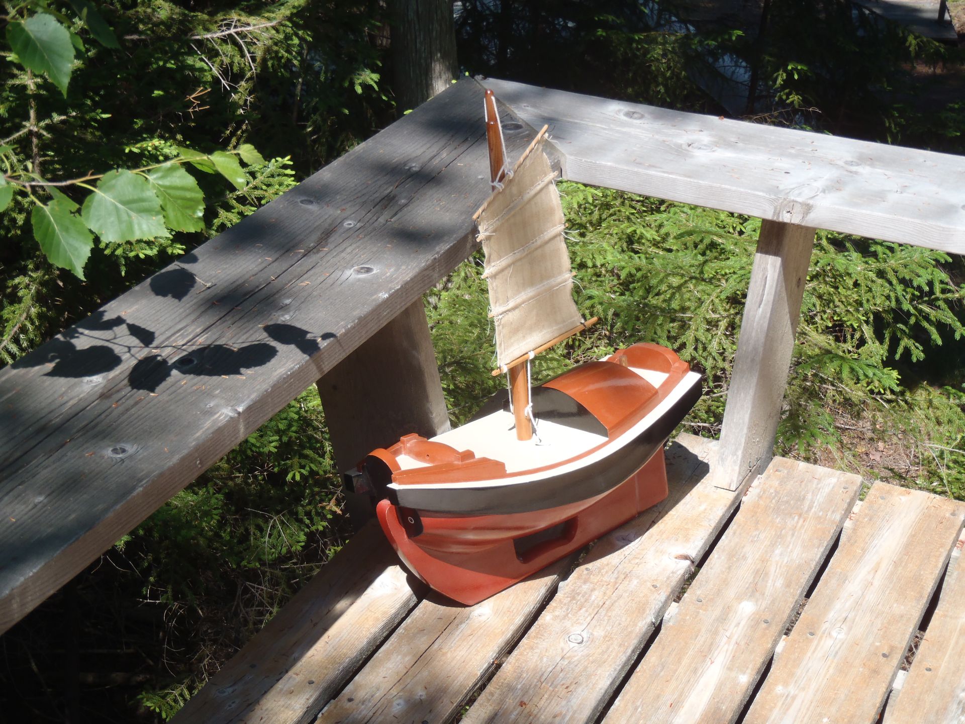 Swimming Models | Bass Harbor, ME | 207-460-2984