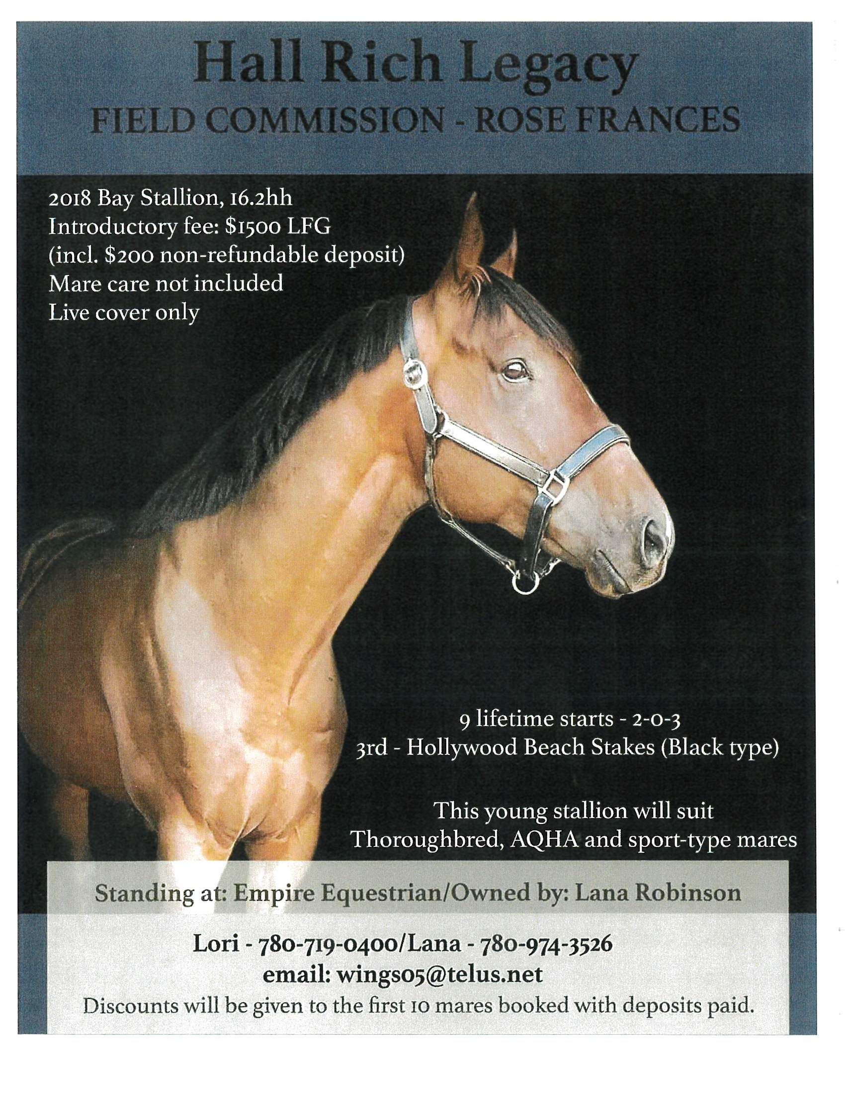 Alberta Stallion News Update