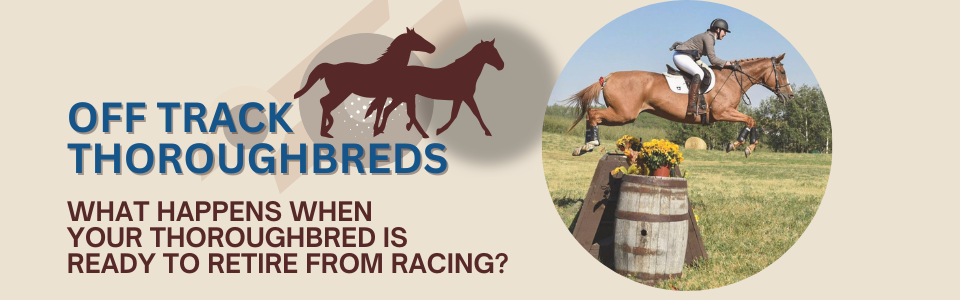 Canadian Thoroughbred Horse Society – OTTB