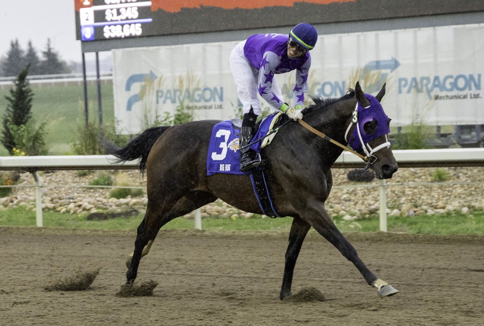 Celebrating Alberta-Bred Success