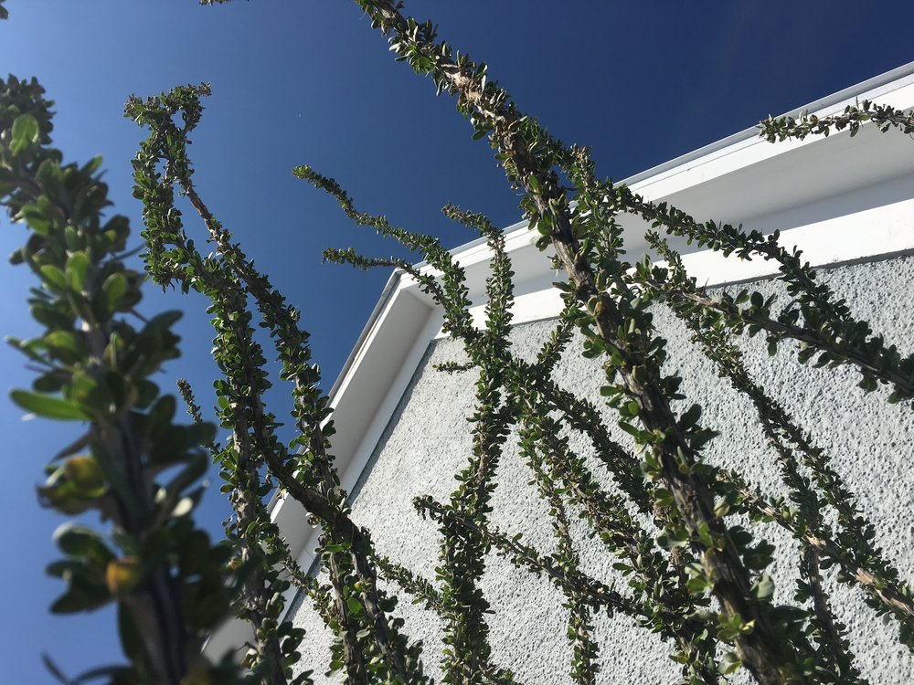 The Lincoln Marfa: Hotel in Marfa