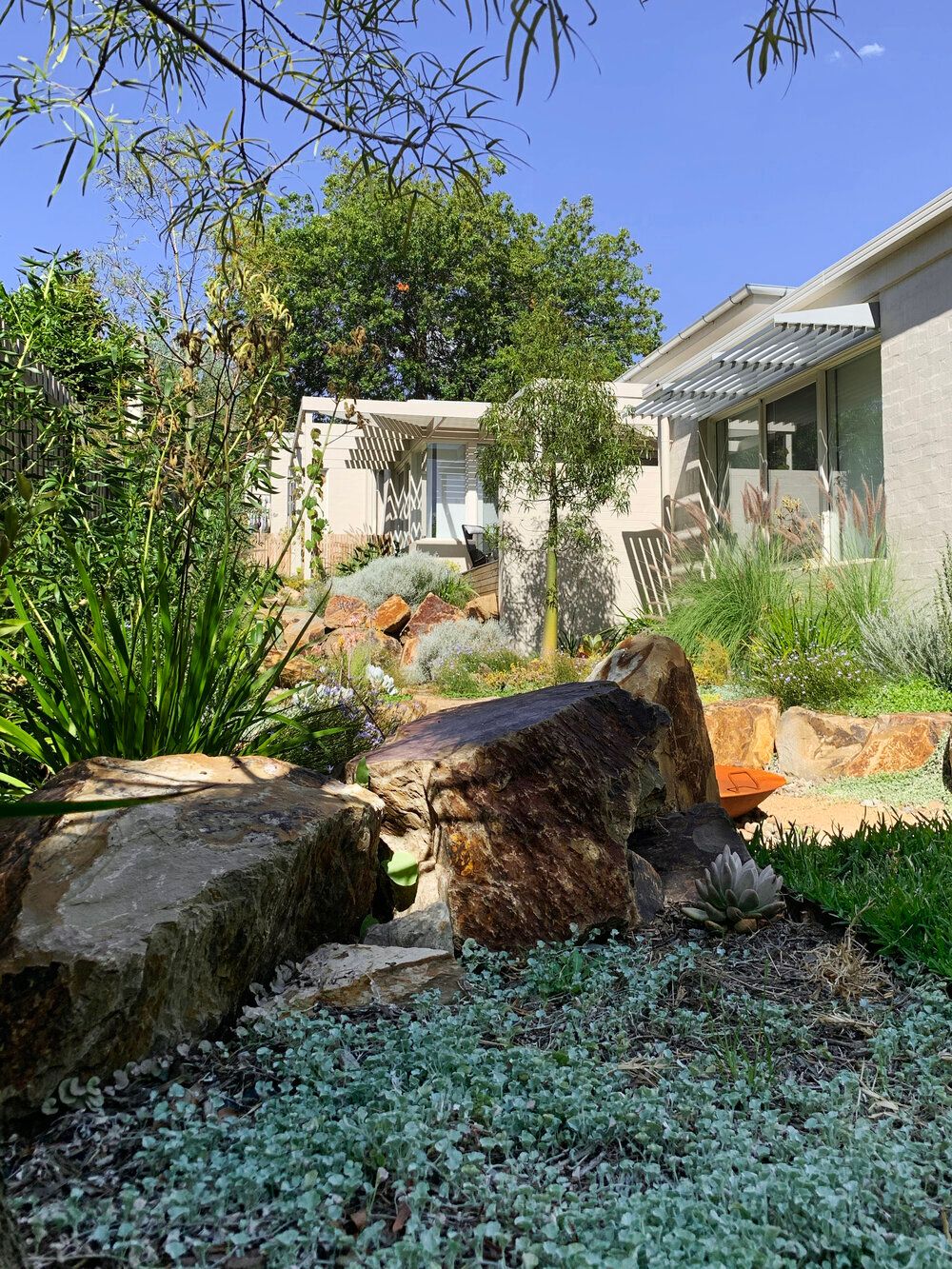 Native Landscape Design Melbourne | Bespoke Landscapes