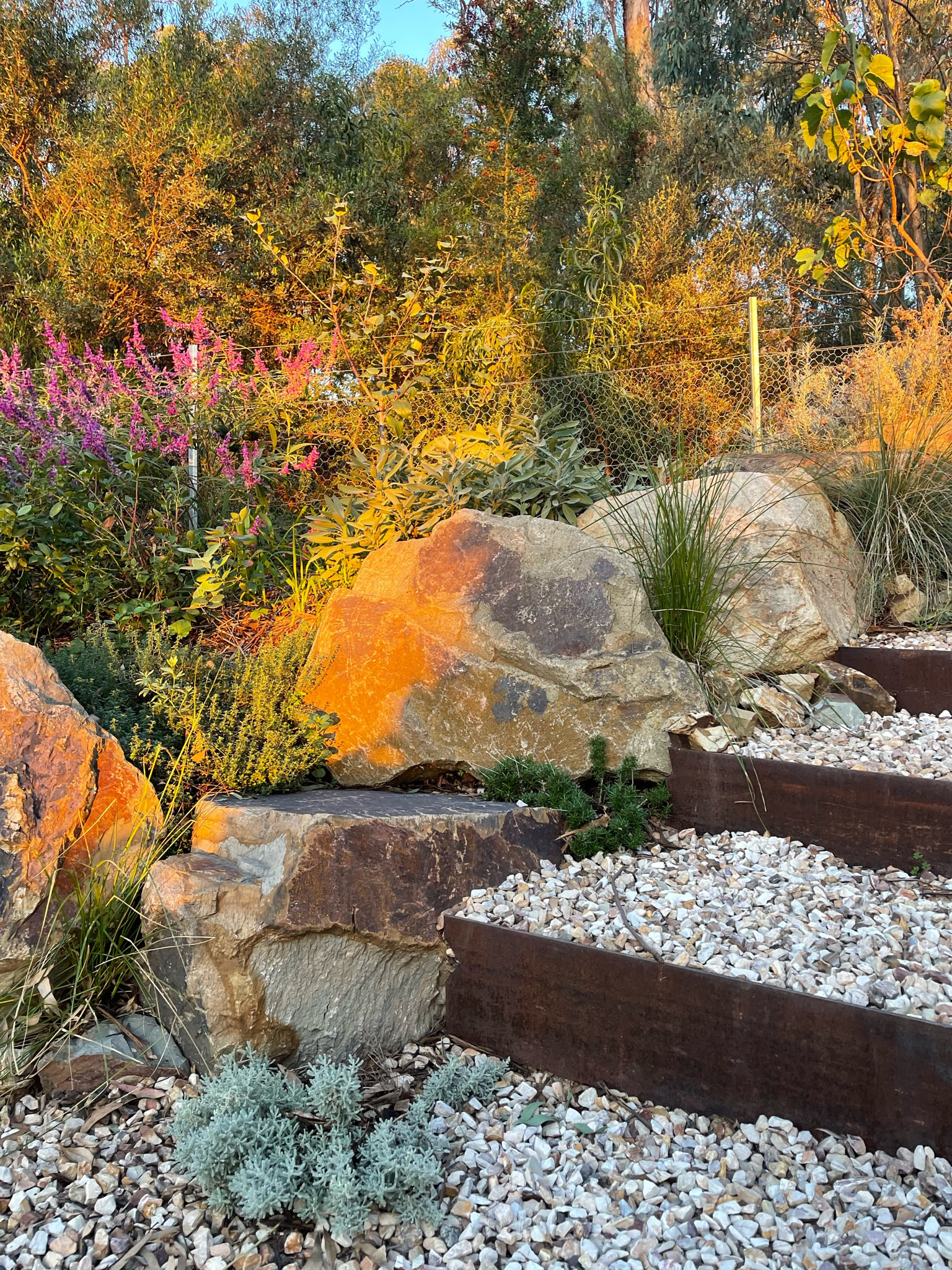 Native Landscape Design Melbourne | Bespoke Landscapes