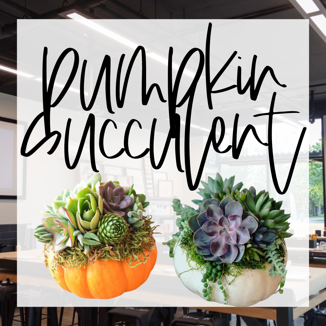 Fall Workshops | Pumpkin | DIY | Eugene, Oregon