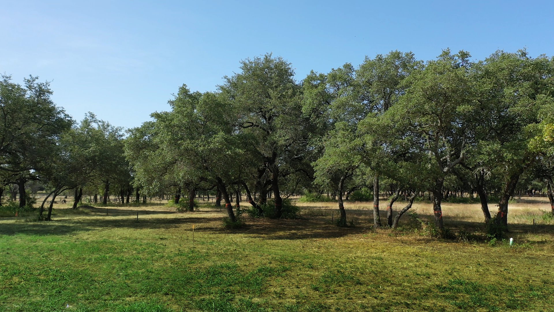 New Long Term RV Sites $500 & up | Water, Sewer, & Dumpster Included