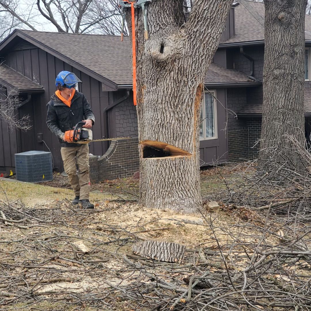 Tree Trimming & Stump Removal | Ankeny, IA