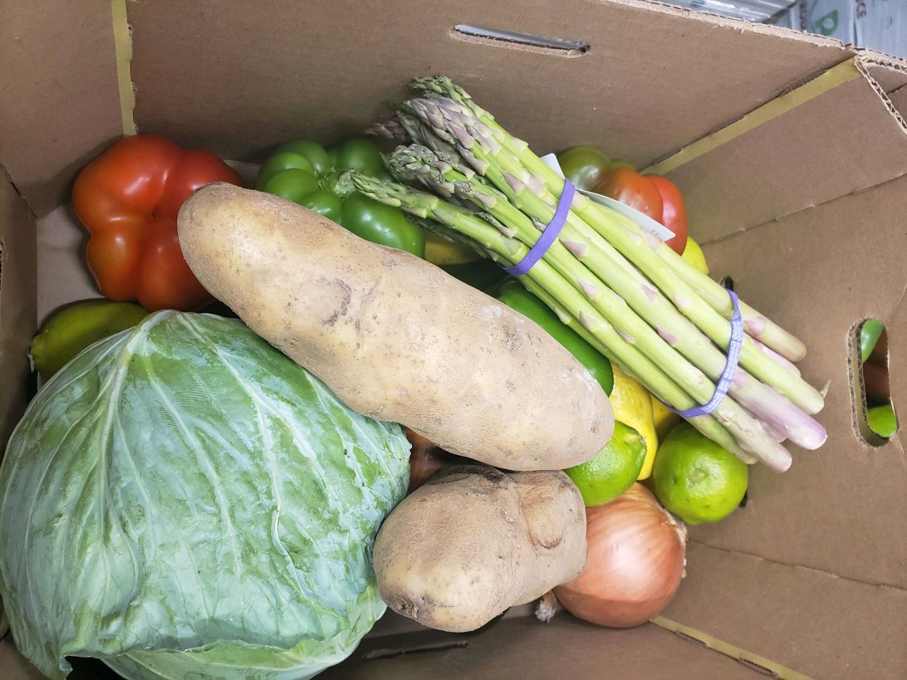 Senior Hunger Initiatives | Palm Beach County Food Bank