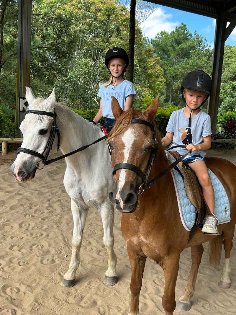 Our Gallery | Merrypark Equestrian Centre