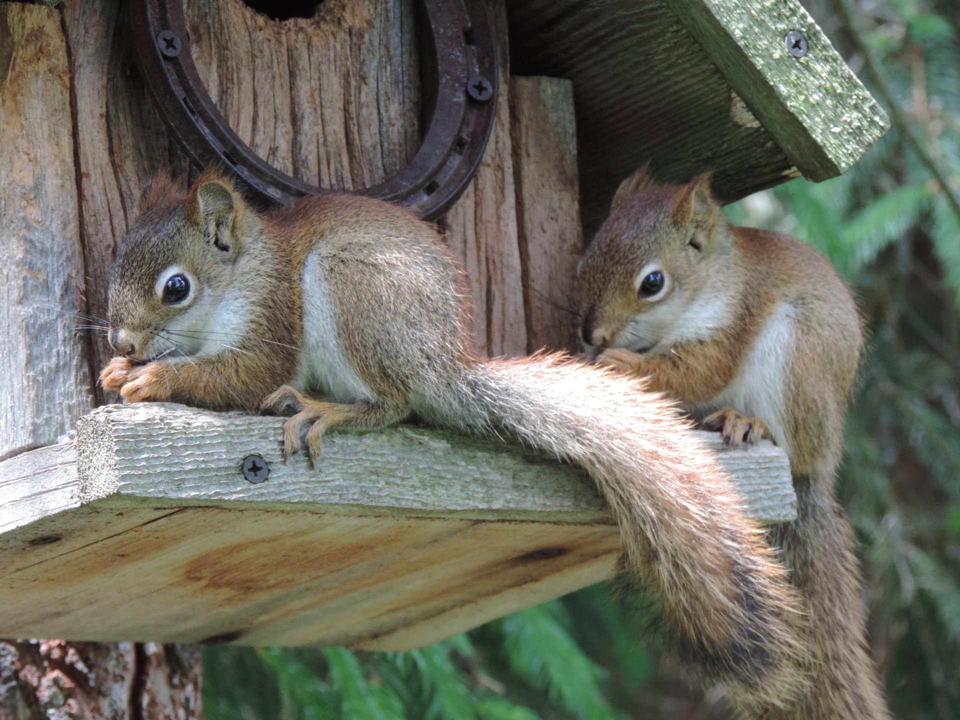 Mark Street United Church