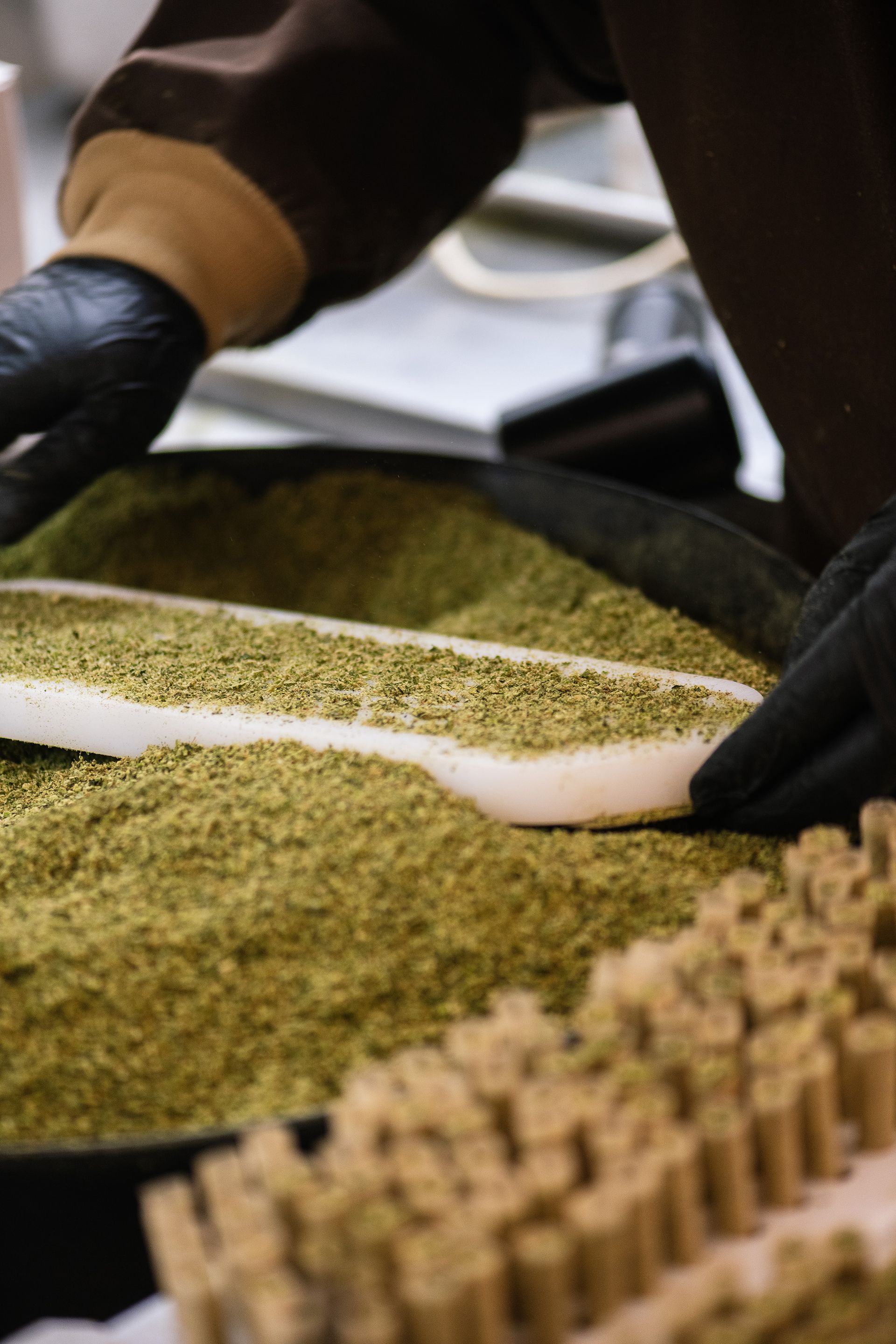 Proper Cannabis | Proper Brands Proper Cannabis | Proper Brands