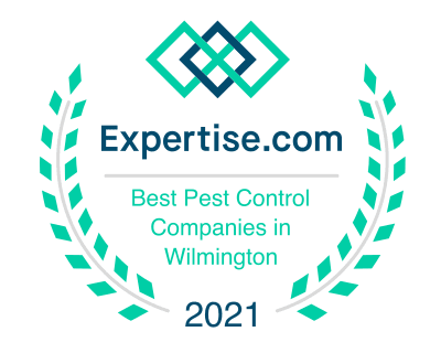 Pest Control | Wilmington, NC | Canady & Son Exterminating Inc