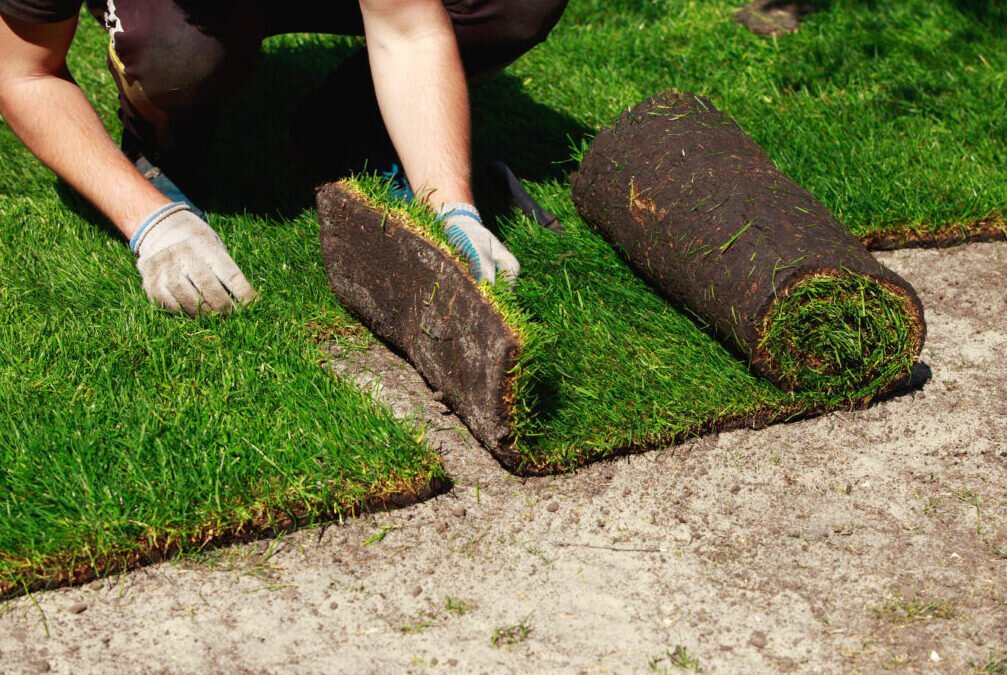 What Do You Put Under Sod Before Laying It?