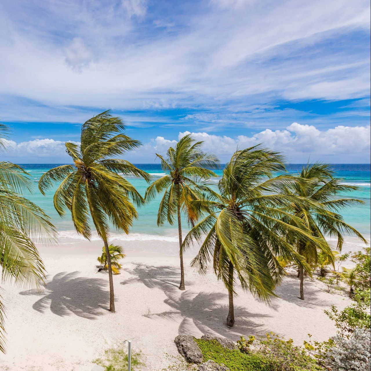 The Sands Barbados - Discover Barbados