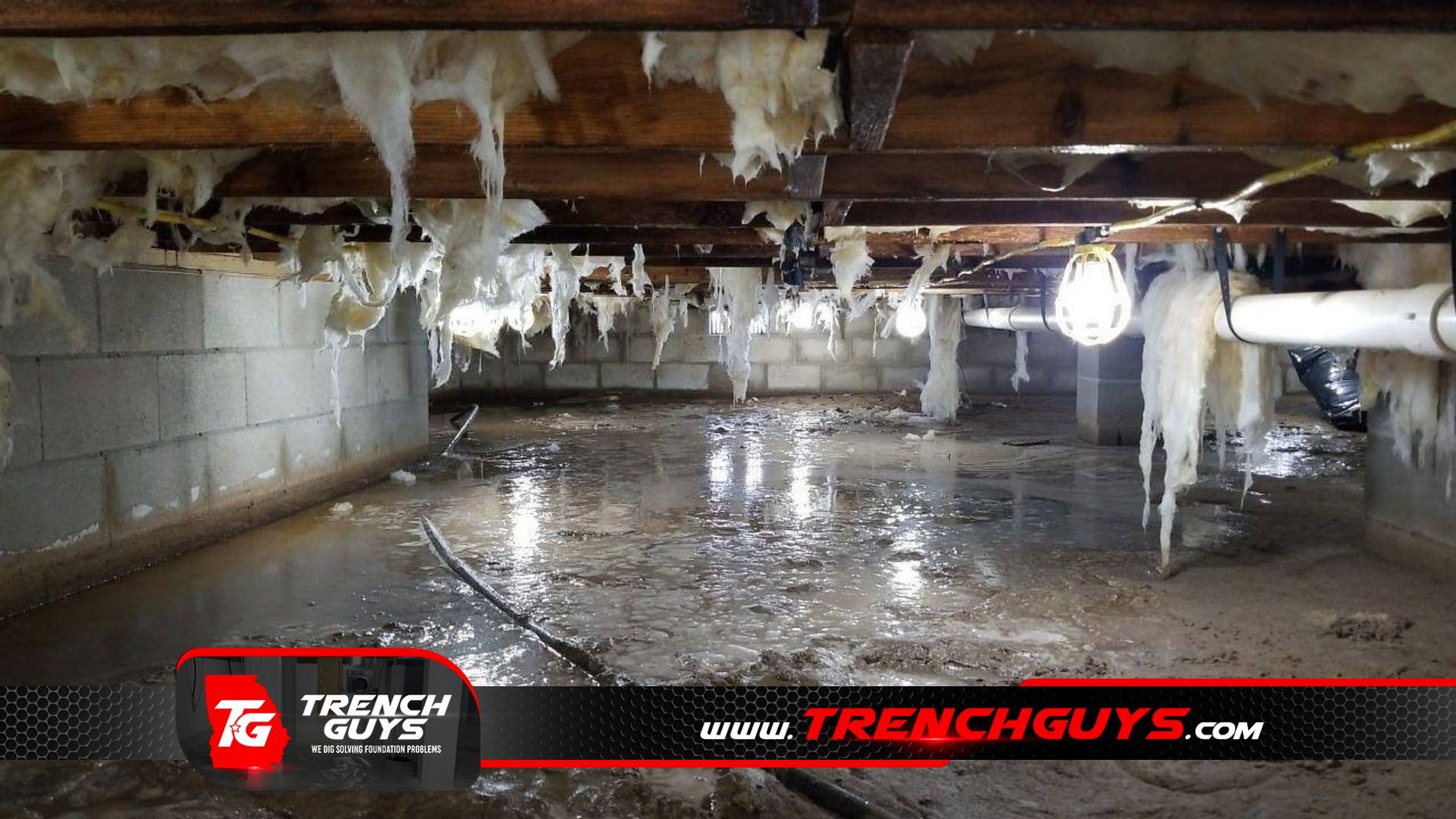 Macon Crawl Space Encapsulation, Mold Removal, and Waterproofing ...