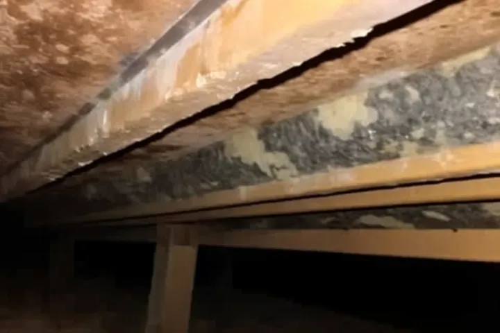 Understanding crawl space problems and solutions