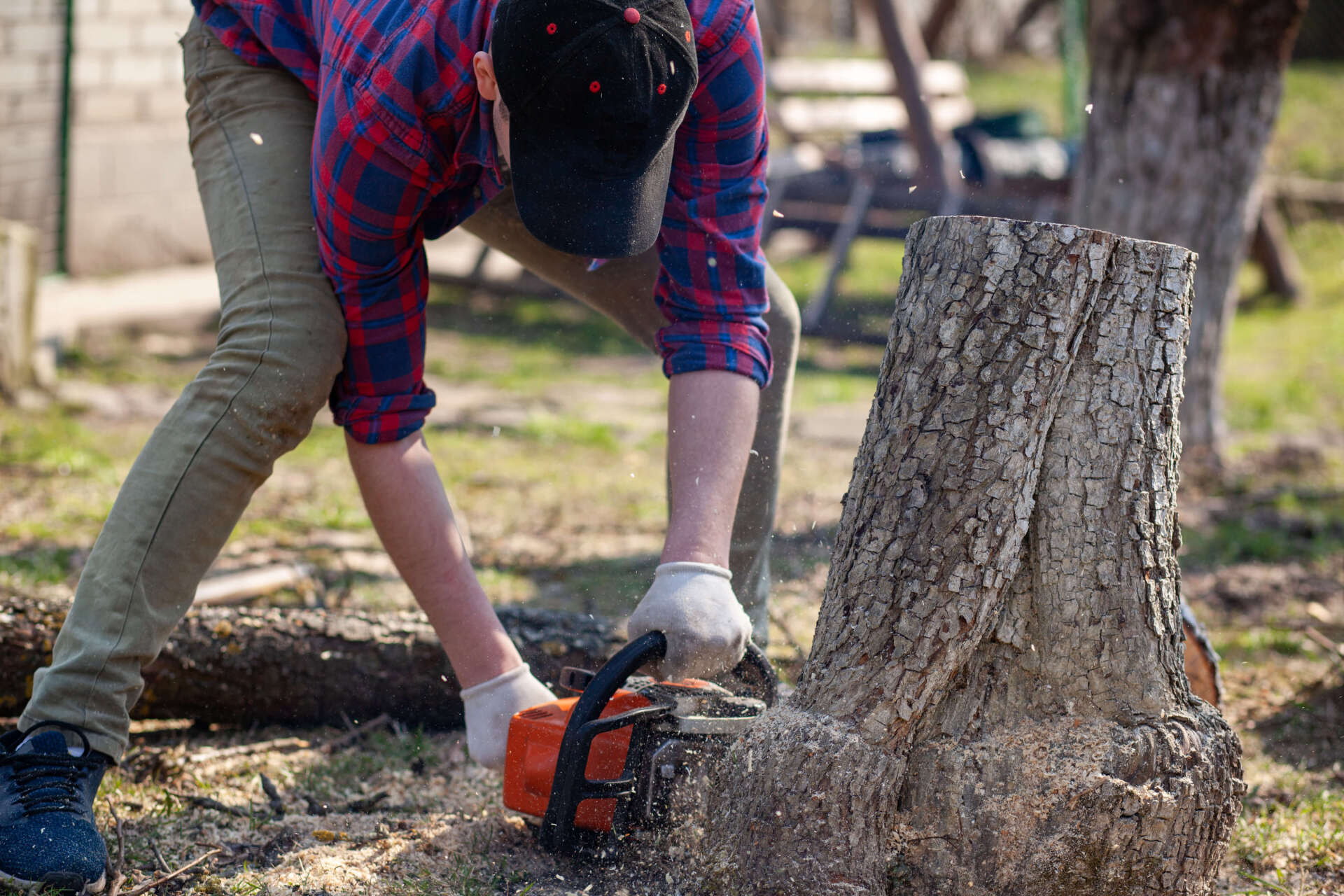 Tree Stump Removal Campbelltown | Campbell Tree Care