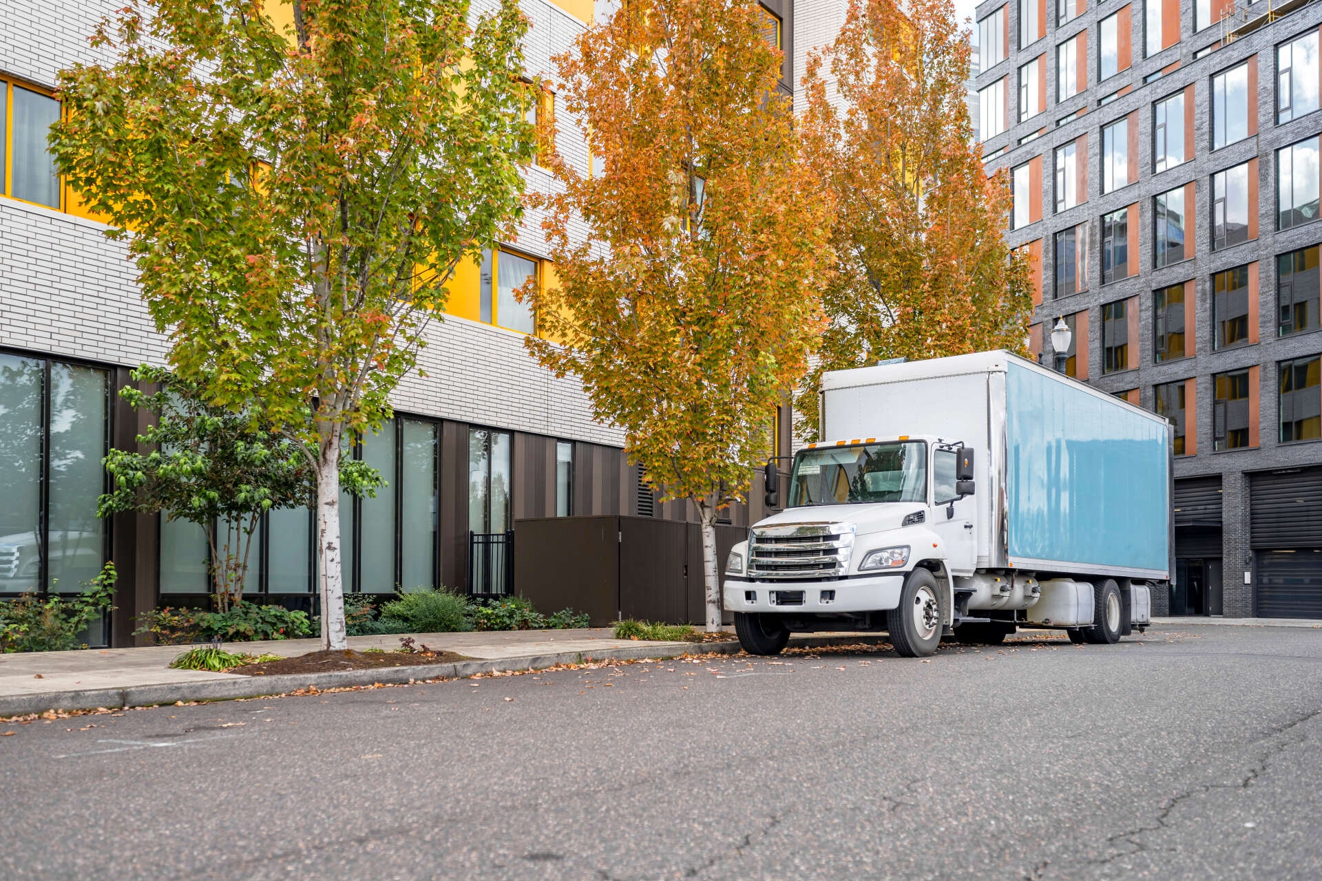 About Us | Campbell Tree Care