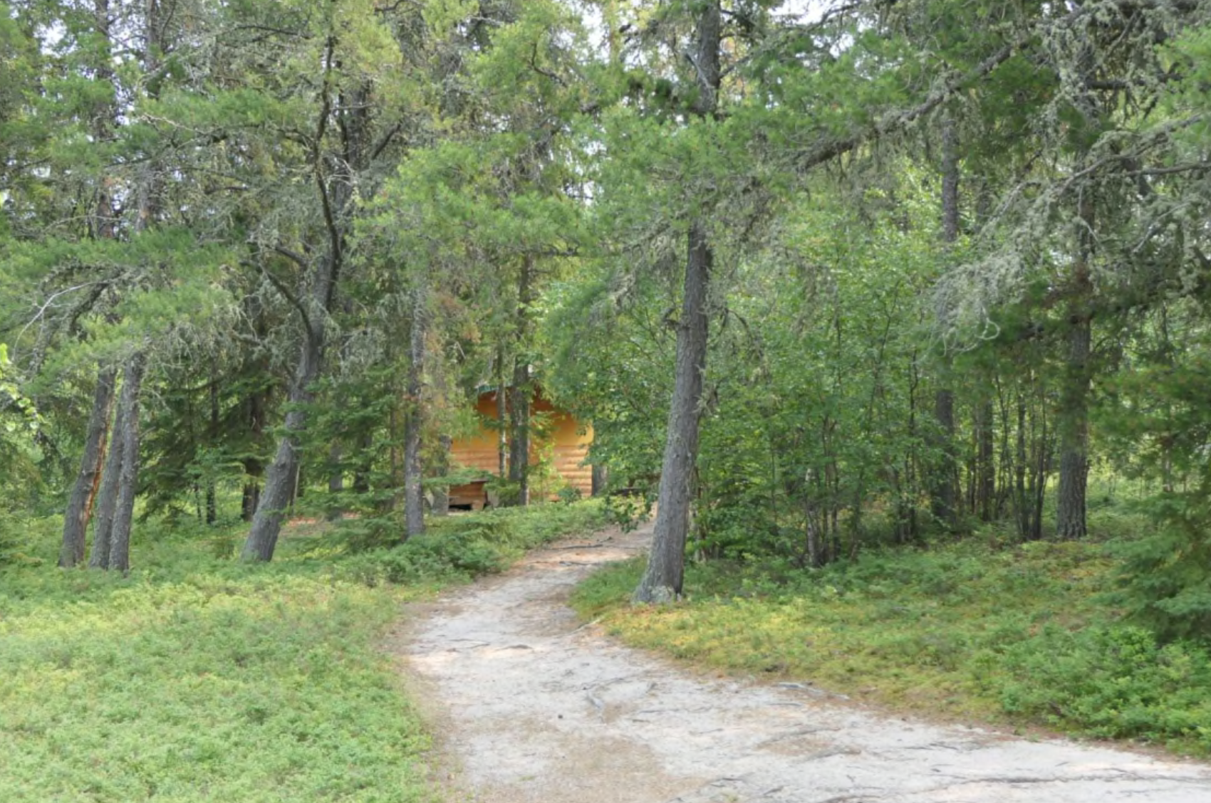 Lodge Accommodations | Winefred Lake