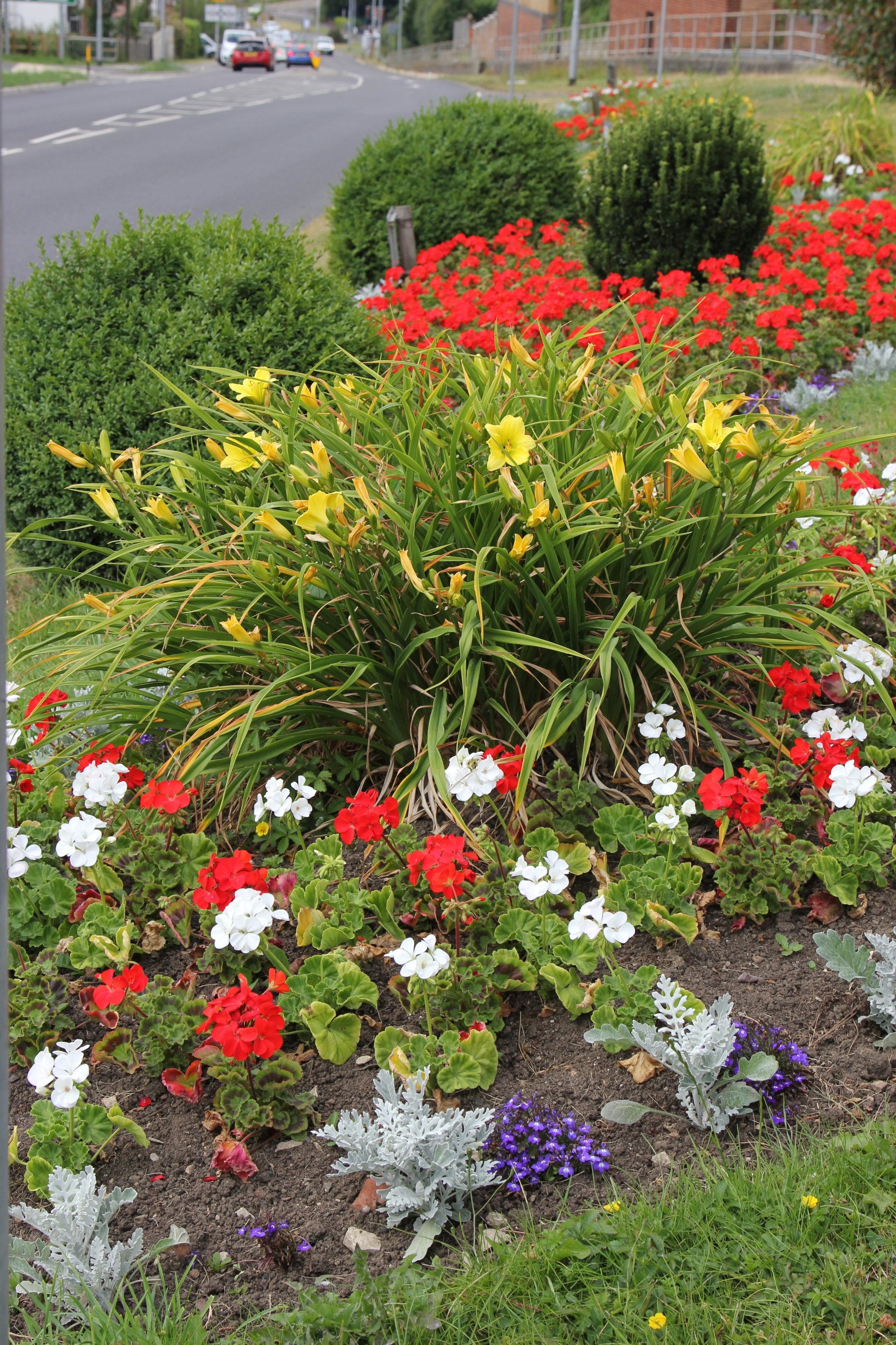 Gaping Goose Beds