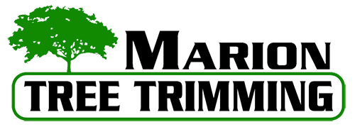Marion Tree Trimming | Ocala & Belleview, FL | Tree Service Company
