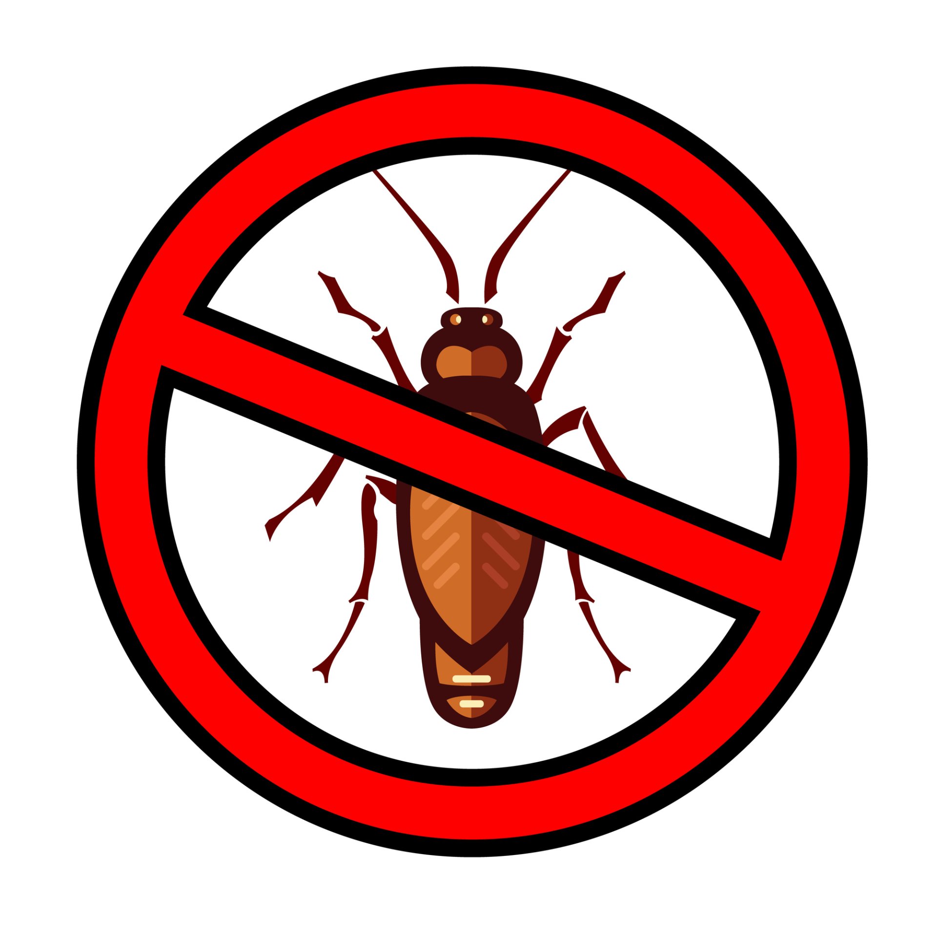 Termite Pest Control HI | Hilo Termite & Pest Control Ltd