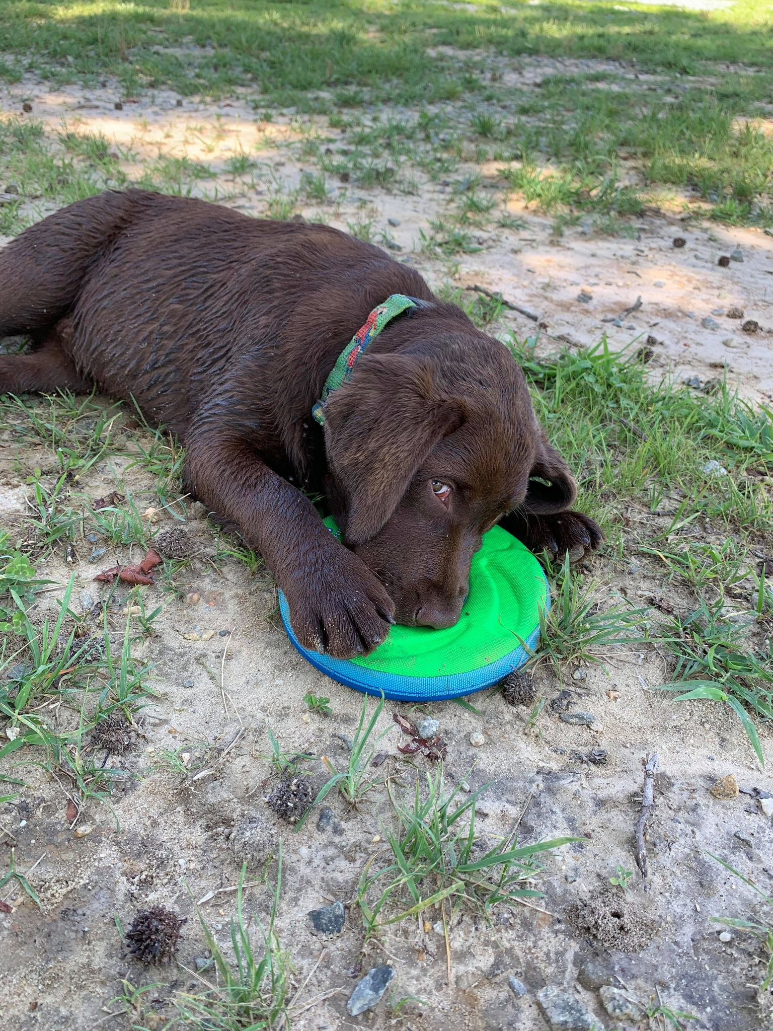 Hidden River Farm LLC - Angier, NC - Home