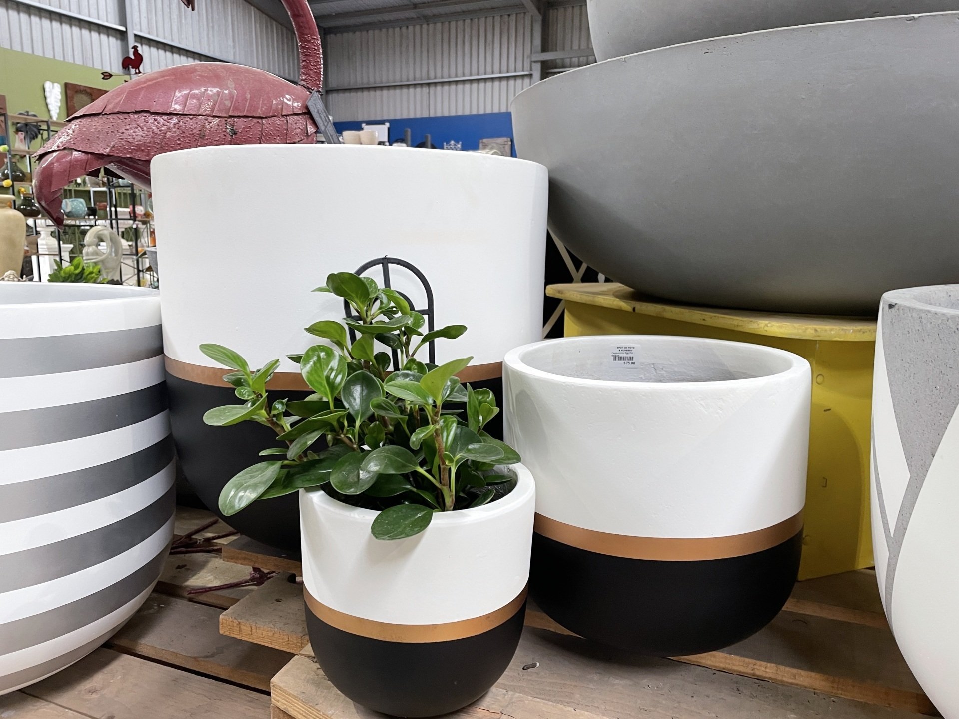 Pots - Spotonpotsandnursery.com.au