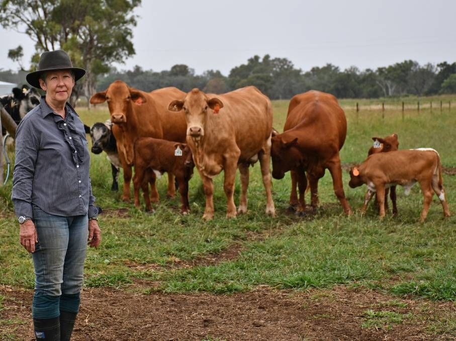 Derry Duff Irish Moiled | IvyHome Farm