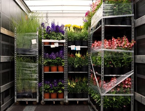 Nursery plant trolleys