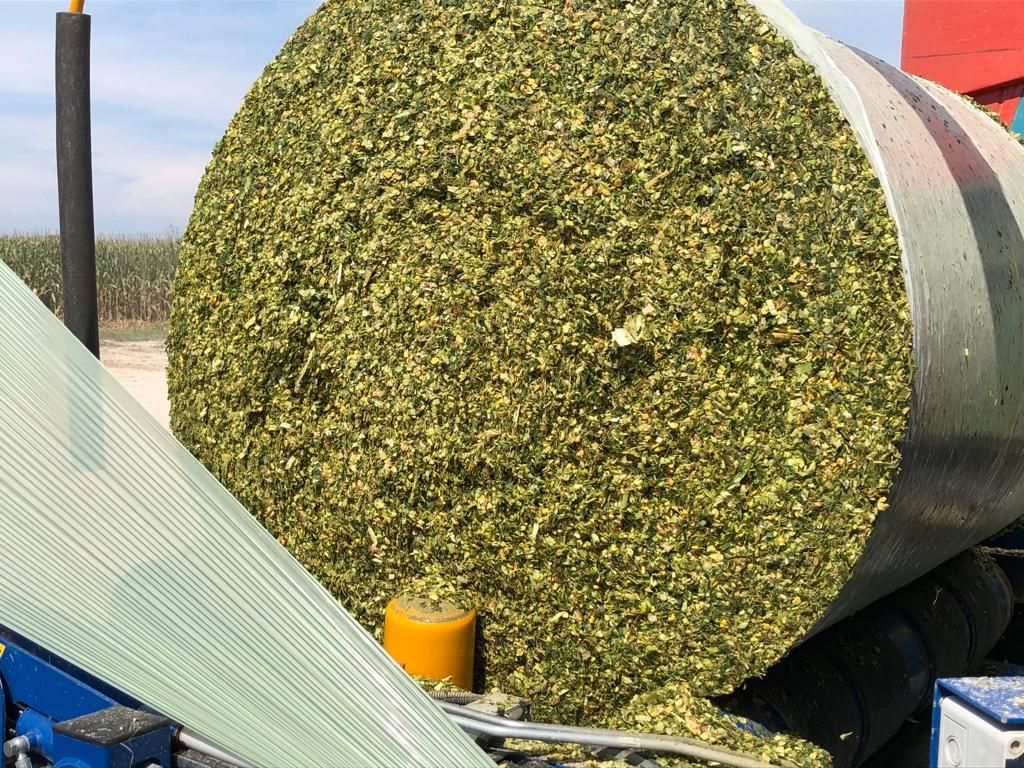 Commercio e Trasporto foraggio - Autotrasporti Rigotti - Trento