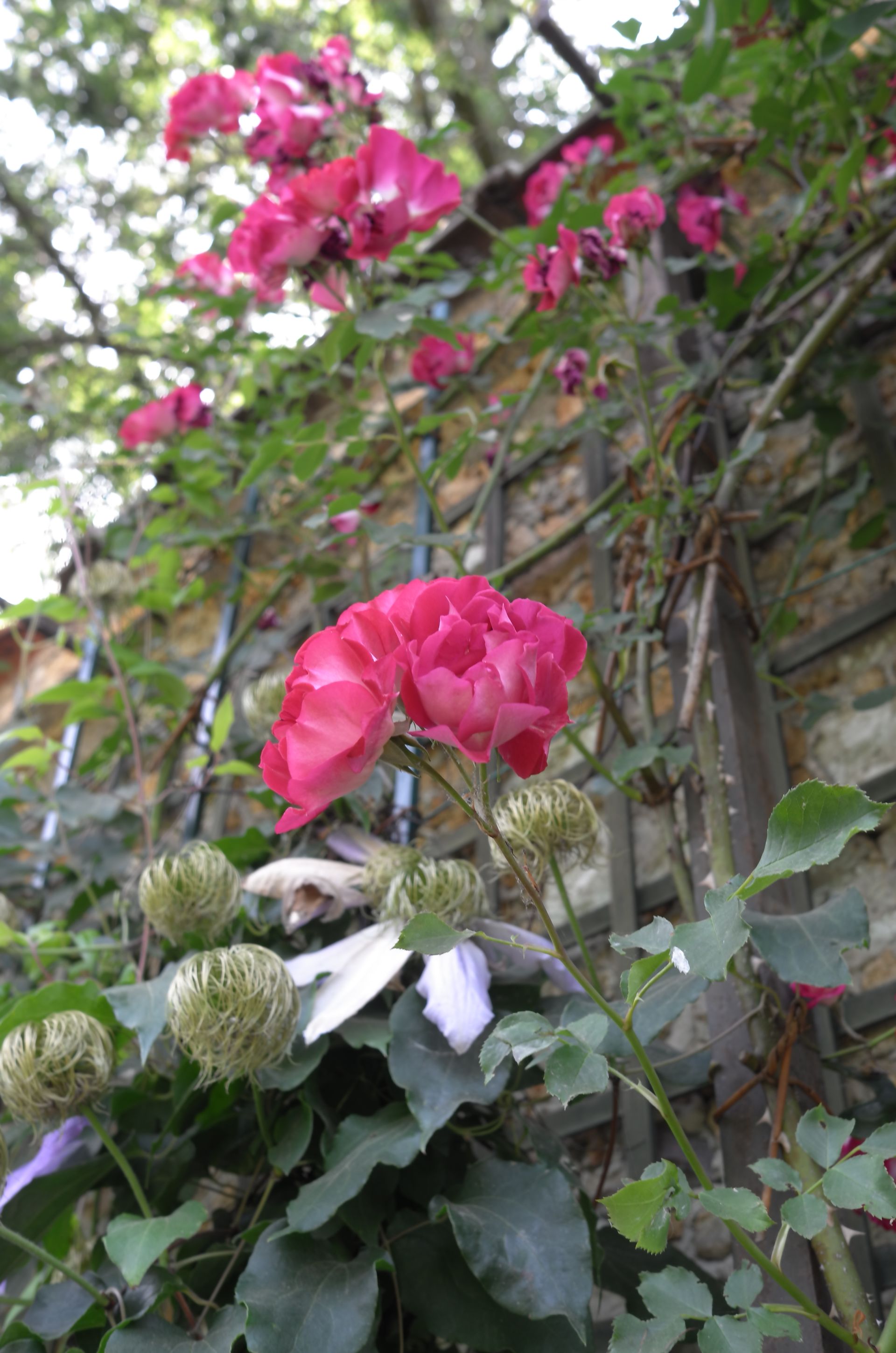 Votre ciel du dimanche 11 juin