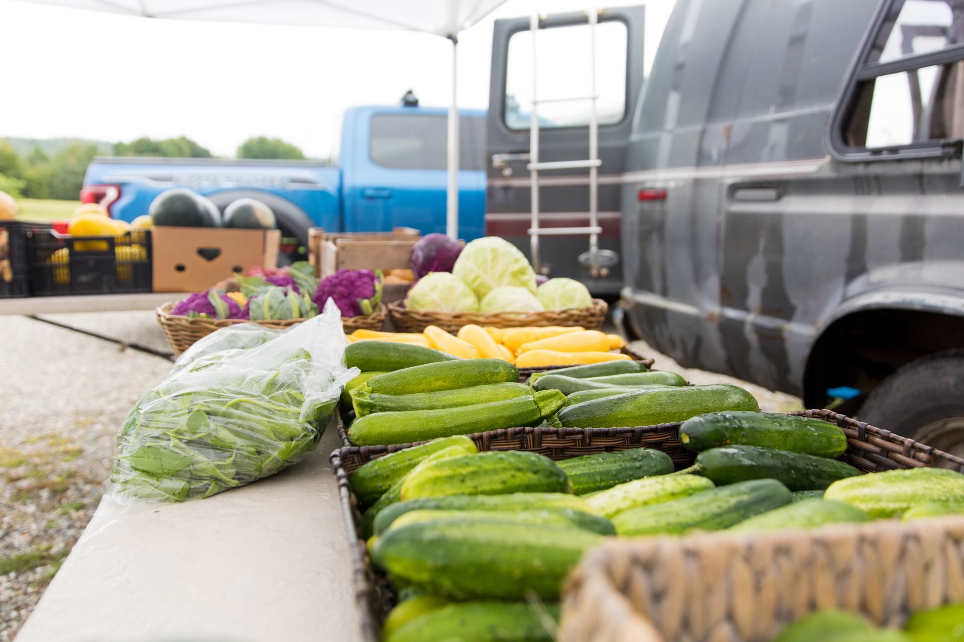 Burlington Farmers Market | Fresh Produce & Local Goods | Isham Family Farm