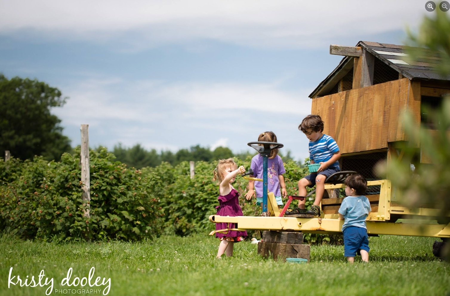 Family-Friendly Farm in Vermont | Outdoor Wedding Venue | Isham Family Farm