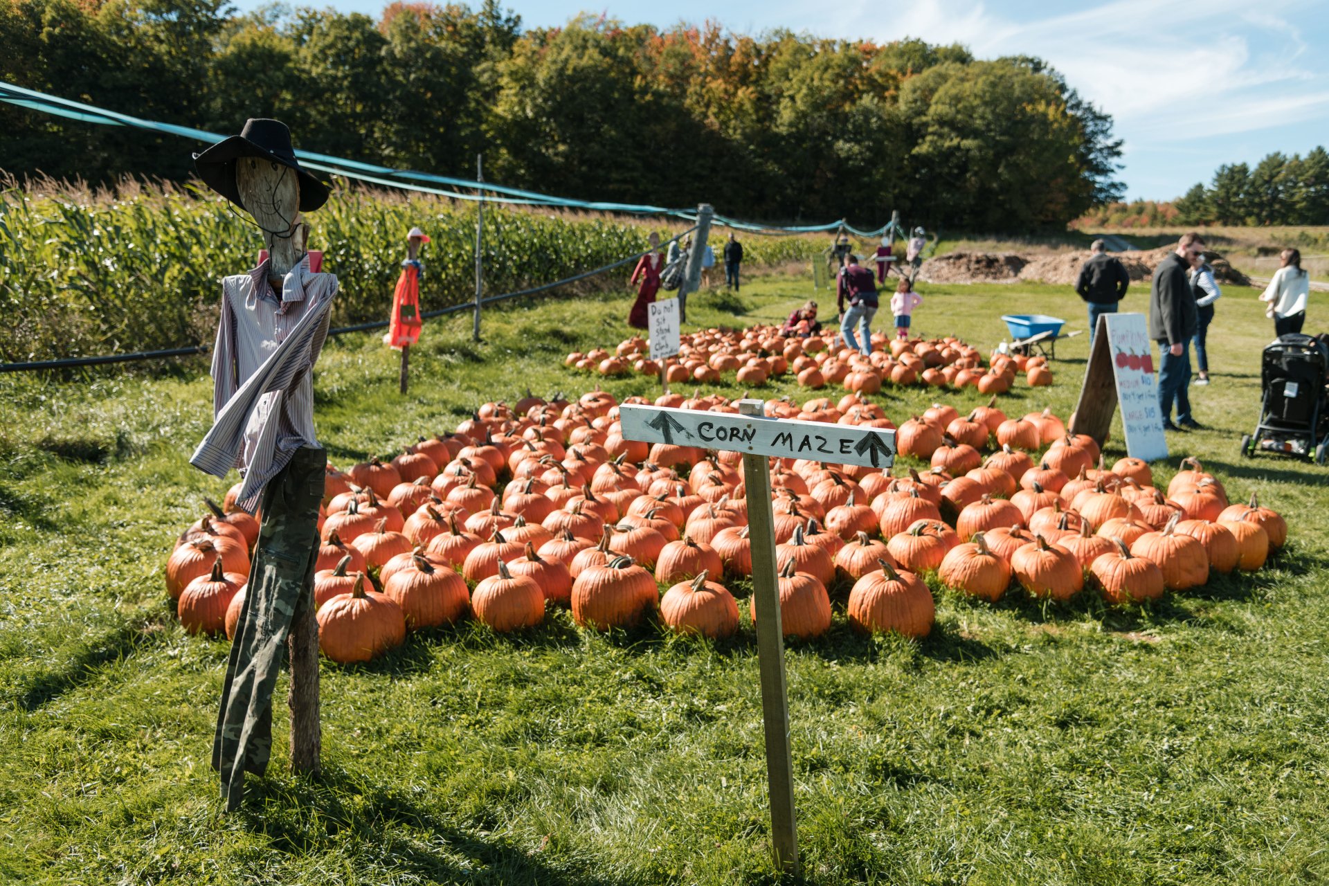 Pick Your Own Pumpkins | Best Pumpkin Patch in Vermont | Isham Family Farm