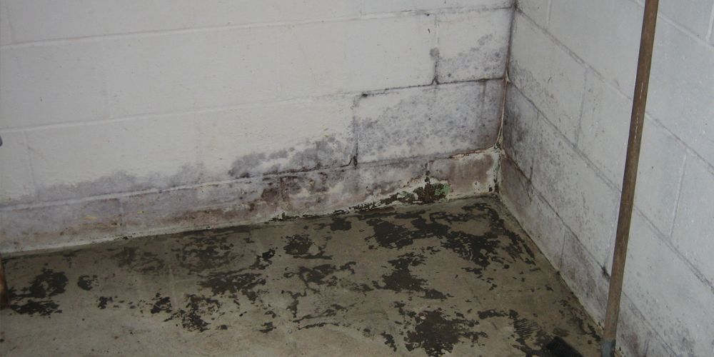 5 Tips to Protect Concrete Foundations Against Water Damage
