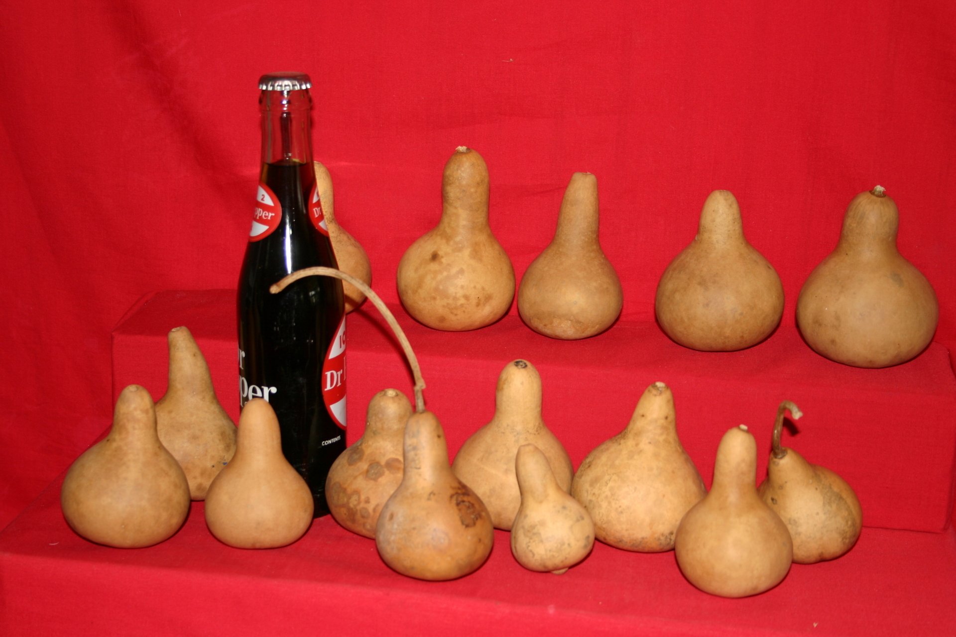 Our Selection of Raw Gourds for Crafts