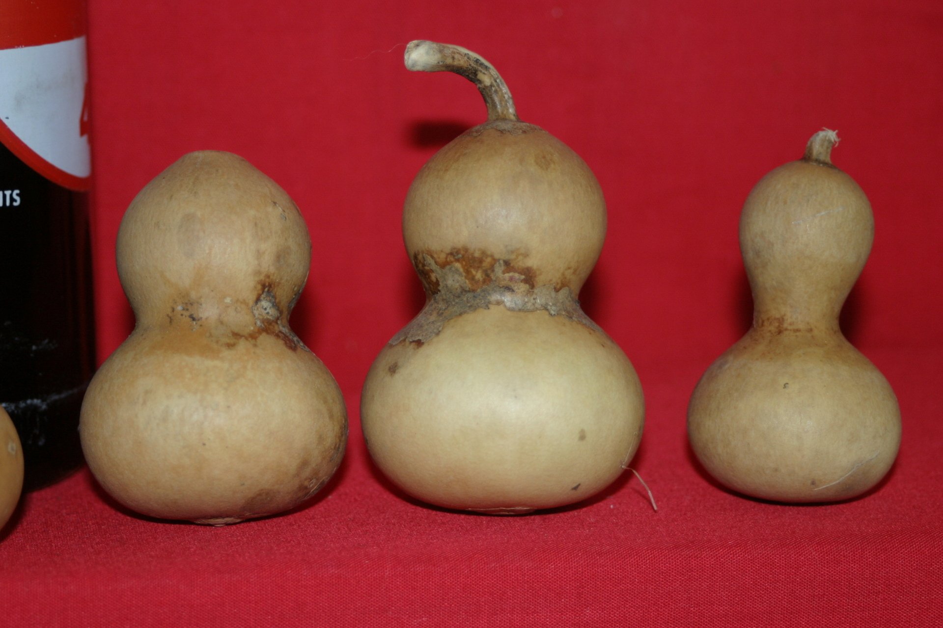 Our Selection of Raw Gourds for Crafts