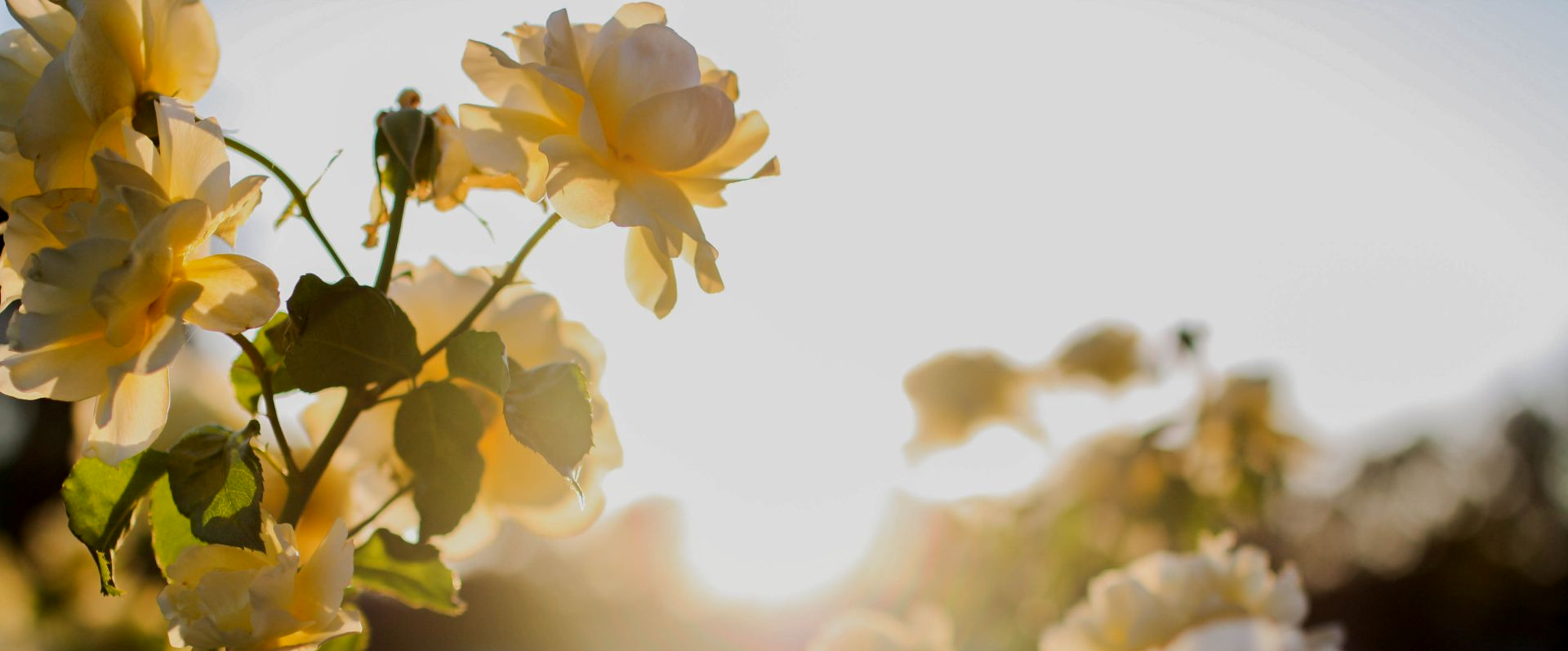 Nickle Mortuary | Delta, UT