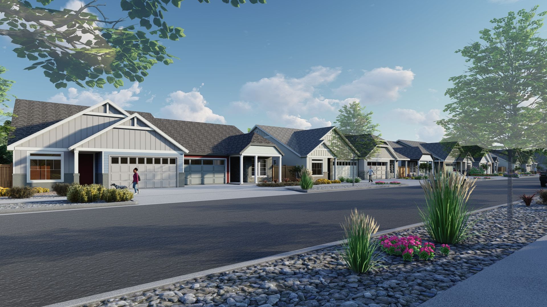 3D Renderings Colorado