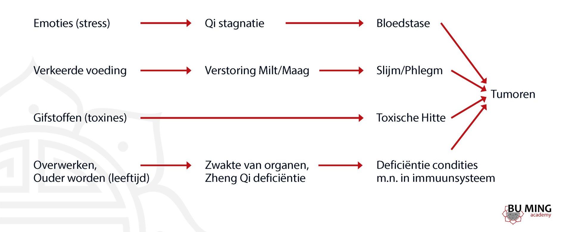Belangrijke oorzaken van kanker
