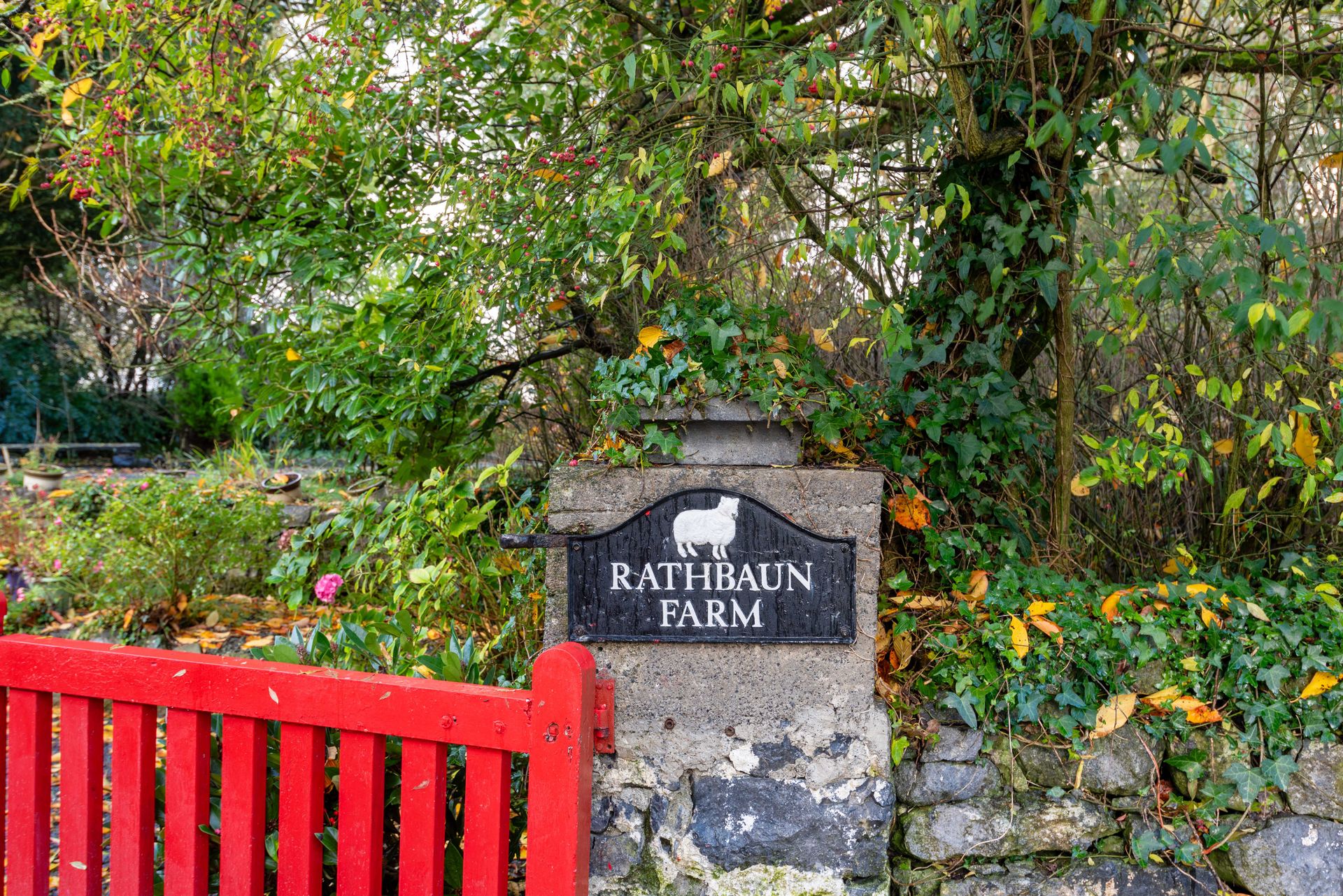 Rathbaun Farm | Gallery