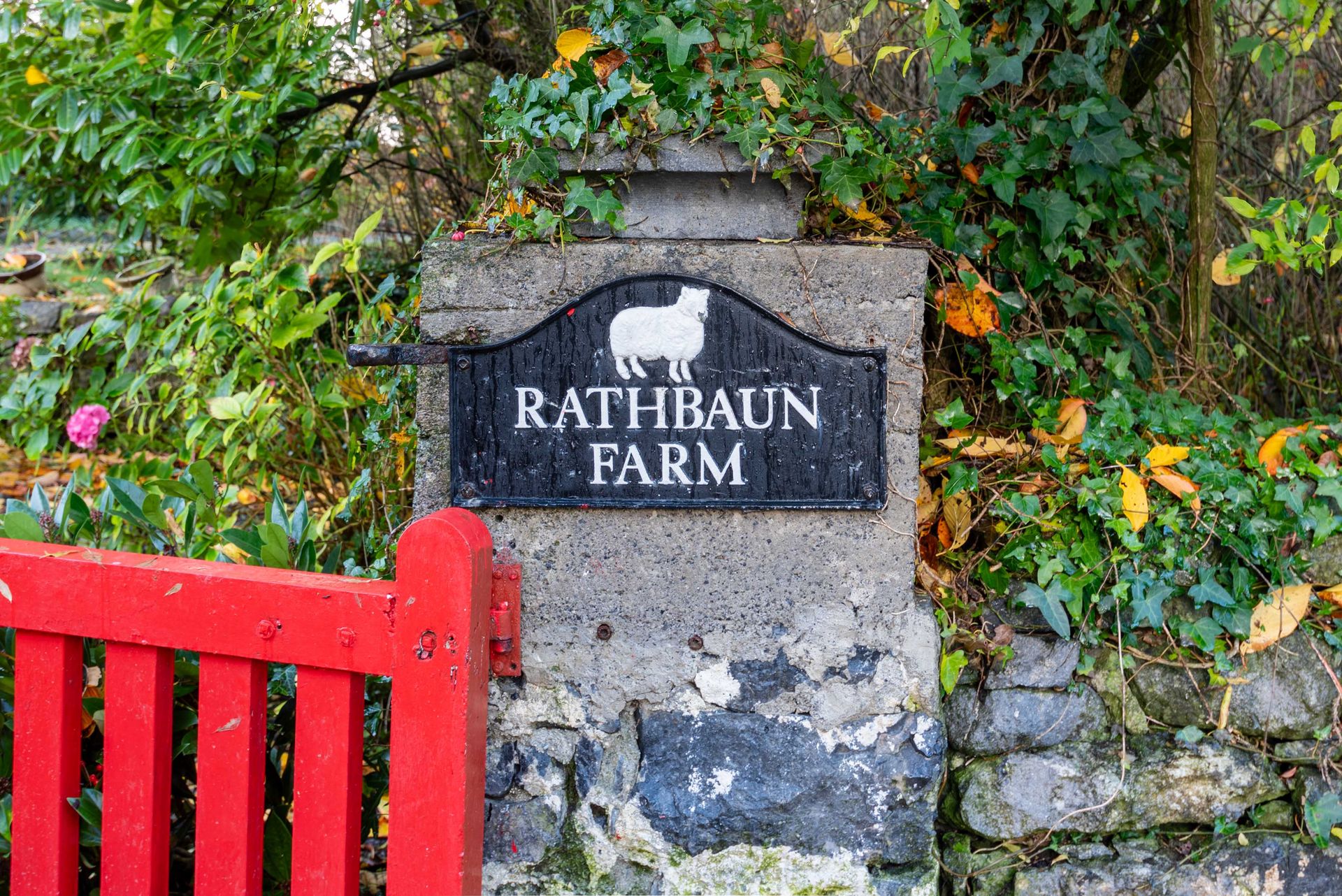 Rathbaun Farm | Irish Farm Experience | Co. Galway