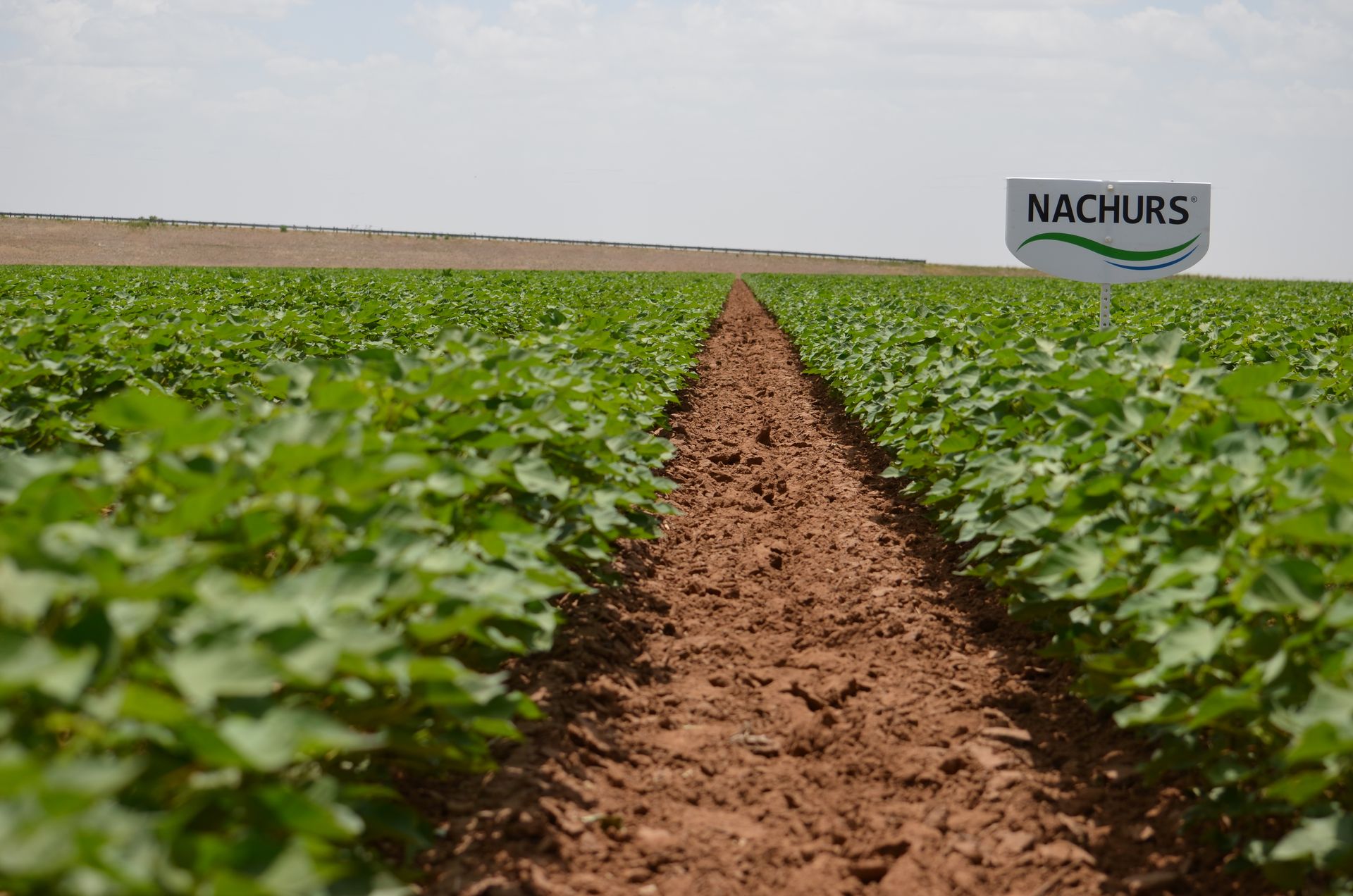 NACHURS Triple Option®