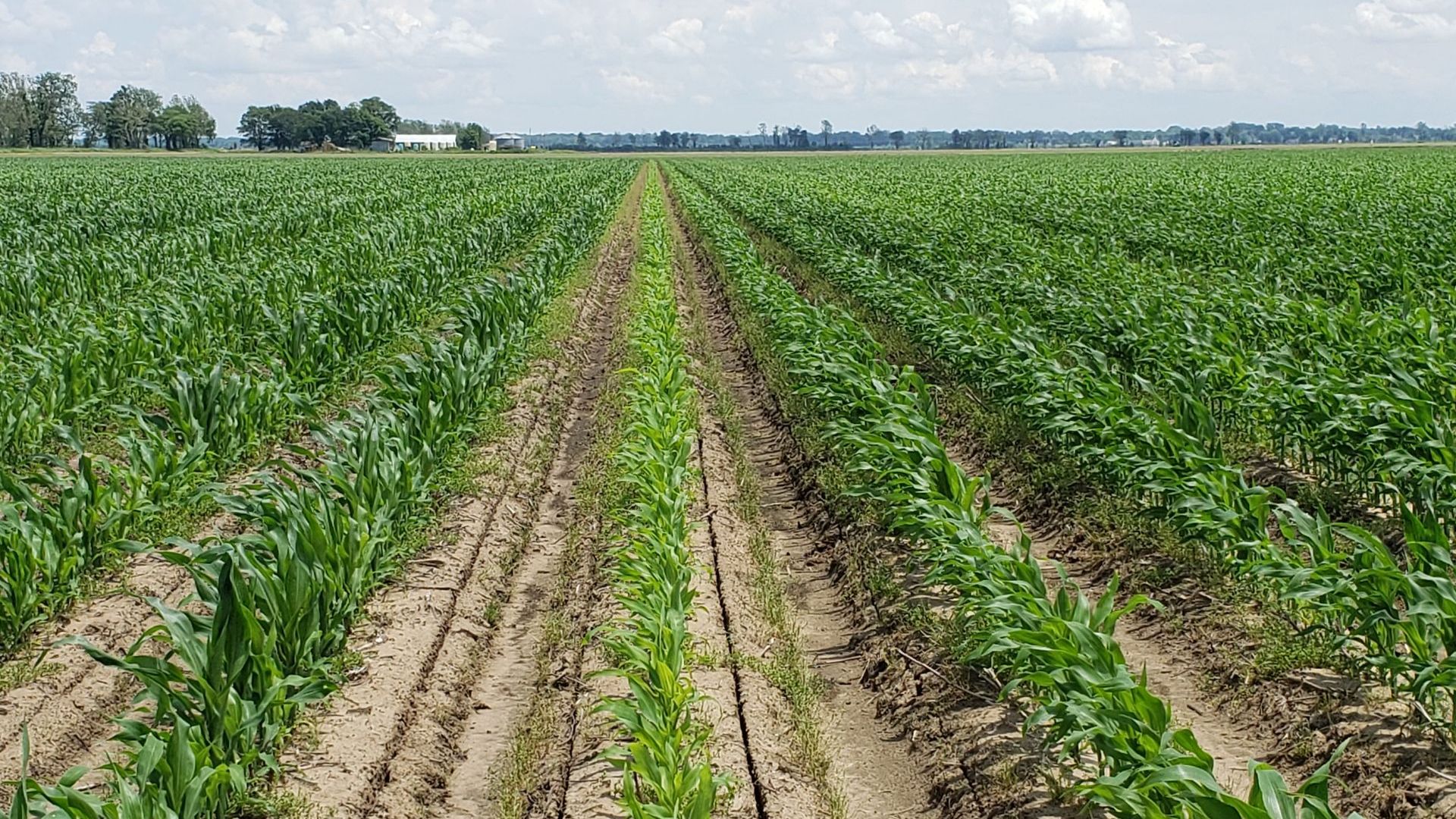 The NACHURS® of Farming