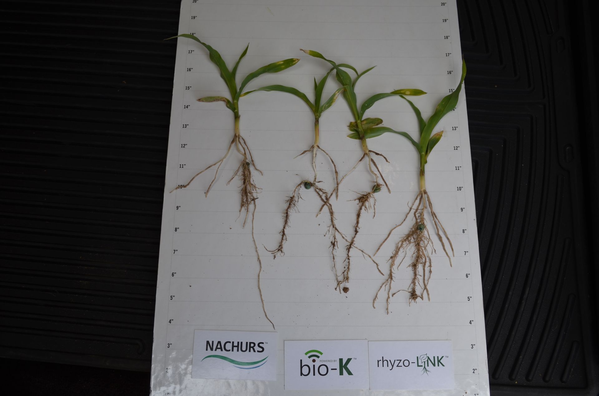 The NACHURS® of Farming