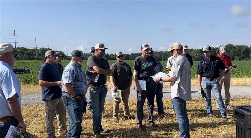 Maximize crop yield potential with NACHURS liquid fertilizers