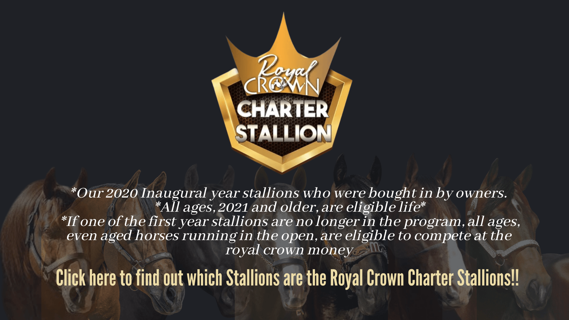 Stallions | Royal Crown