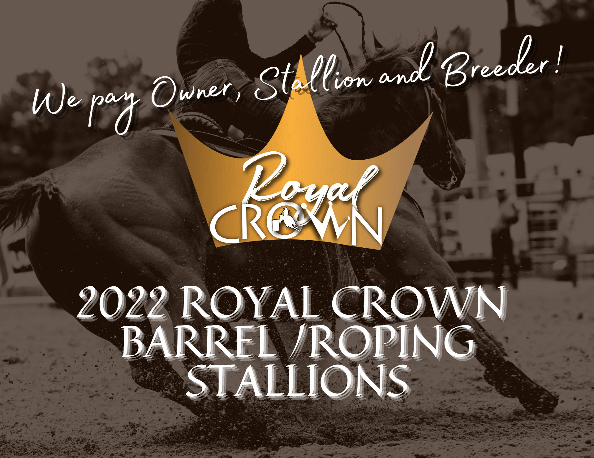 Stallions | Royal Crown