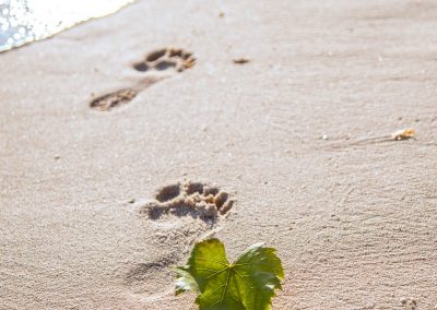 Profitez de la plage et des activités de l'Epi Beach