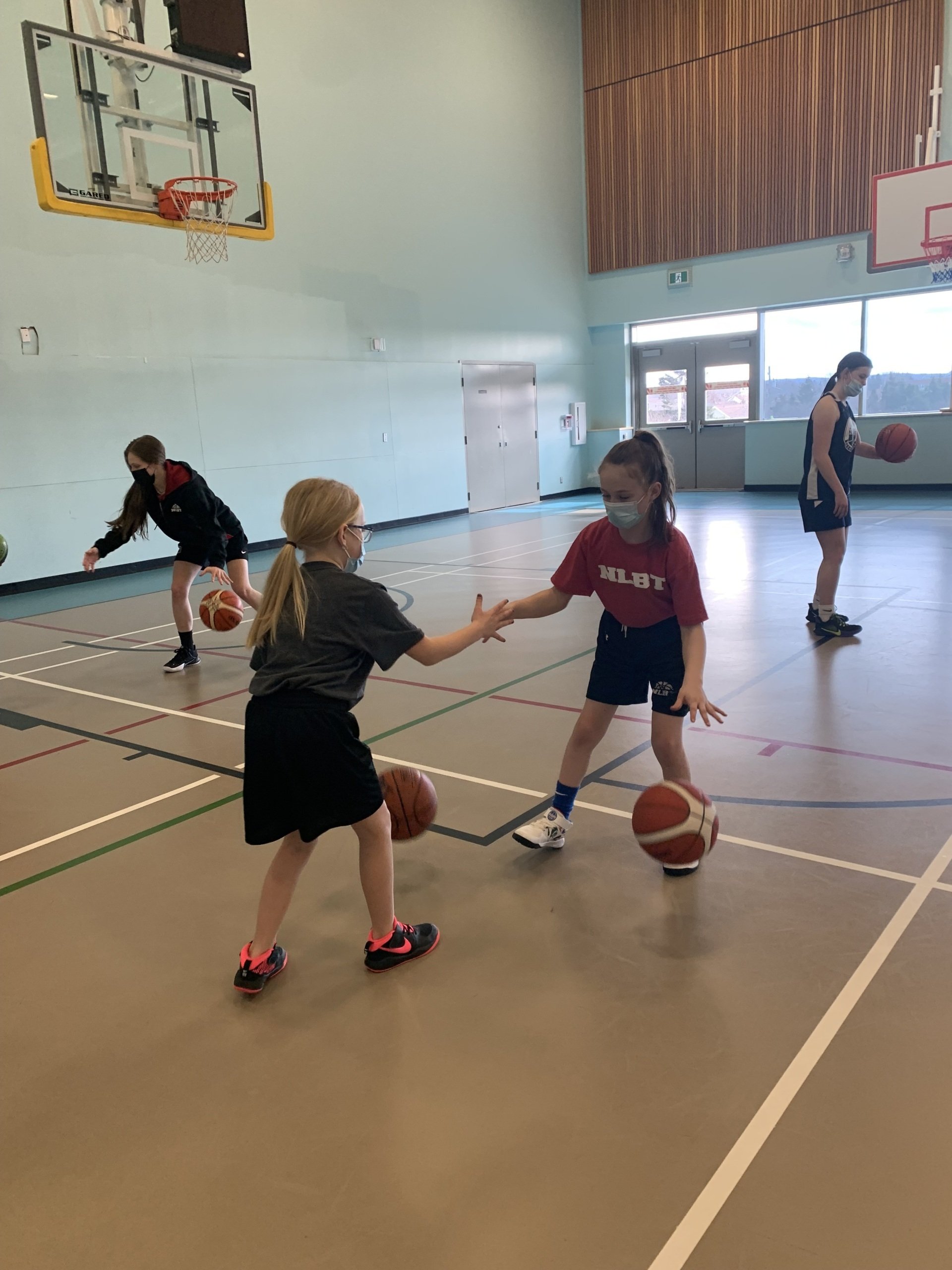 Next Level Basketball Training (NLBT)